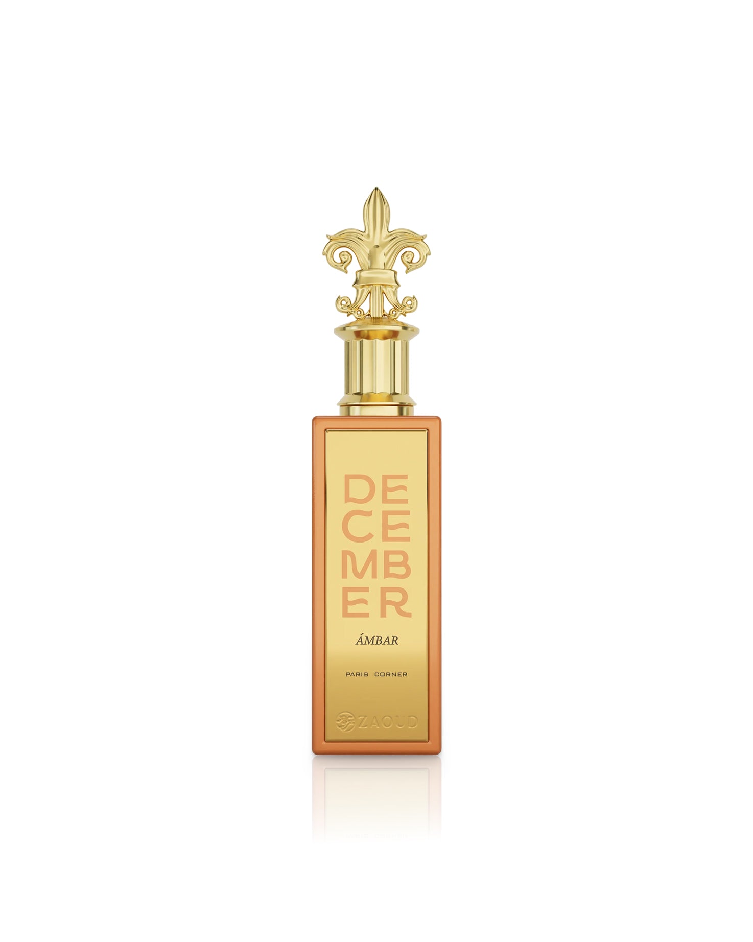 Paris Corner DECEMBER AMBER Edp 100ML